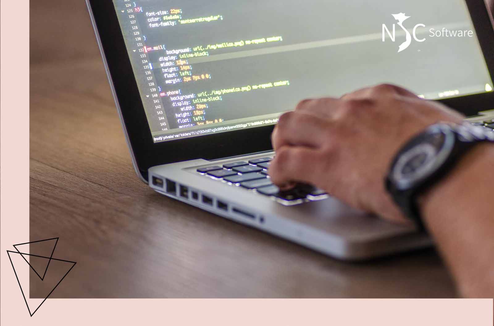 In-house Development Vs Outsourcing Development: Which way to go? | NSC Software